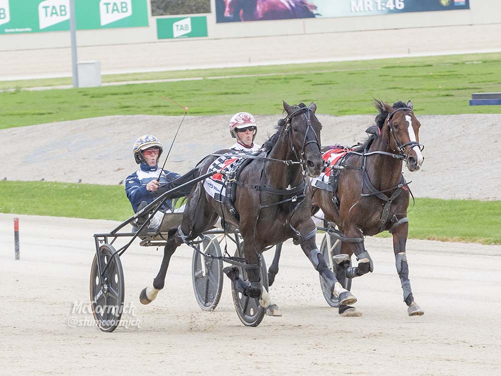 Storm brews as draw fuels fire for Breeders Crown rematch – The Trots